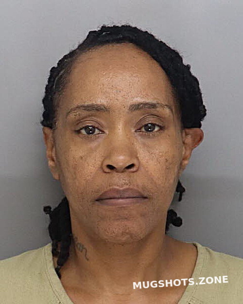 RUSSELL-CRAWFORD ROBIN 05/12/2025 - Hamilton County Mugshots Zone