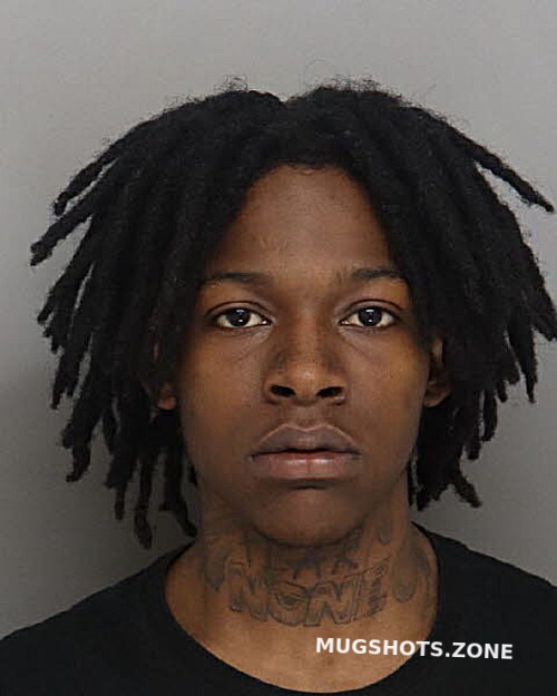 LEVY JARVIS 05/13/2025 - Hamilton County Mugshots Zone