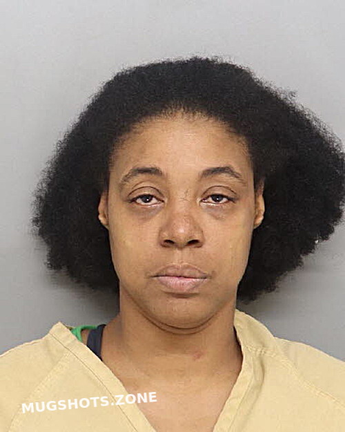GAMBLE NATASHA 05/13/2025 - Hamilton County Mugshots Zone
