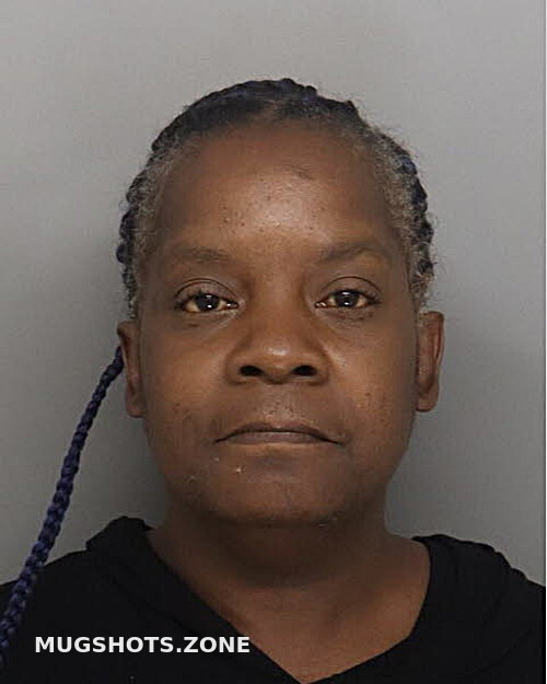 NANCE PATRICIA 05/16/2025 - Hamilton County Mugshots Zone