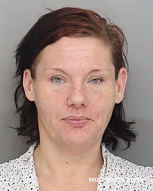 BIRMINGHAM AMANDA 05/20/2025 - Hamilton County Mugshots Zone