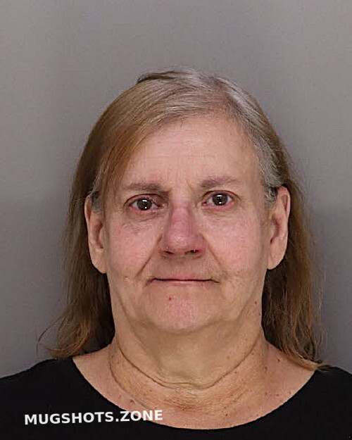 RIDDLE LISA 05/22/2025 - Hamilton County Mugshots Zone