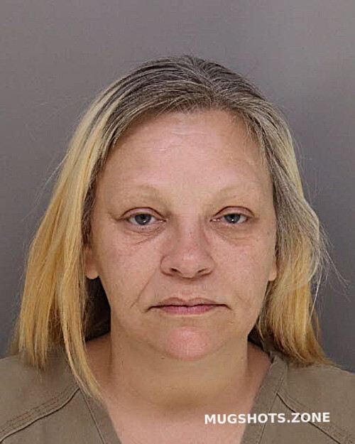 MORRISON PAULA 05/26/2025 - Hamilton County Mugshots Zone