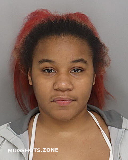 YISREAL QUEEN 05/29/2025 - Hamilton County Mugshots Zone