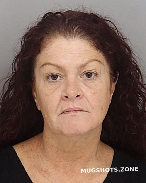 HENGSTLER MICHELLE 06/03/2025 - Hamilton County Mugshots Zone