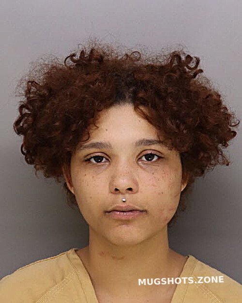 SHUMATE LAYLA 06/06/2025 - Hamilton County Mugshots Zone