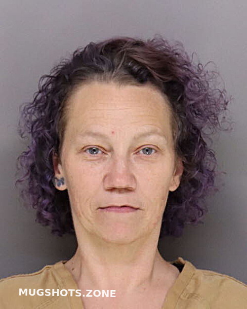 DOHERTY CARRIE 06/13/2025 - Hamilton County Mugshots Zone