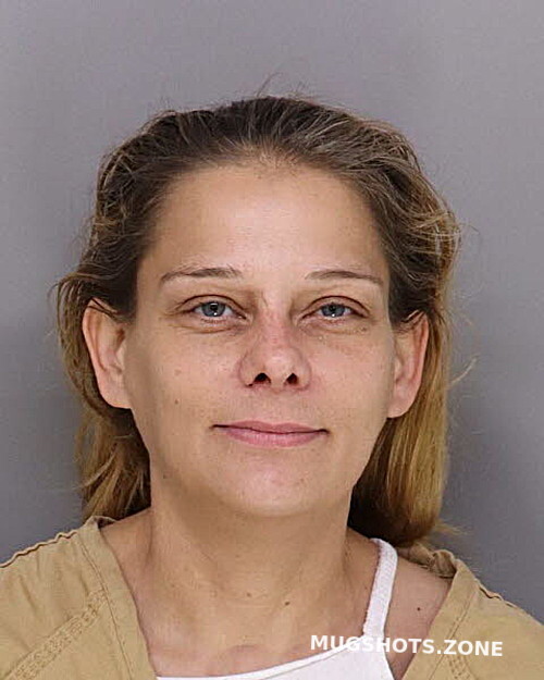 BRANDENBURG STEPHANIE 06/15/2025 - Hamilton County Mugshots Zone