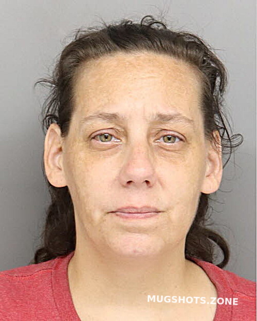 ANDRESEN MANDY 06/16/2025 - Hamilton County Mugshots Zone