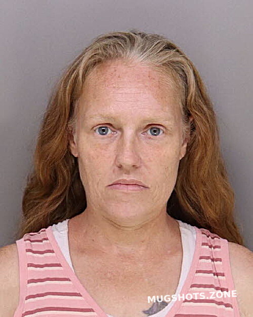 PHILLIPS AUDREY 07/01/2025 - Hamilton County Mugshots Zone