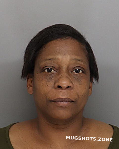 HARRSION KAREN 07/01/2025 - Hamilton County Mugshots Zone