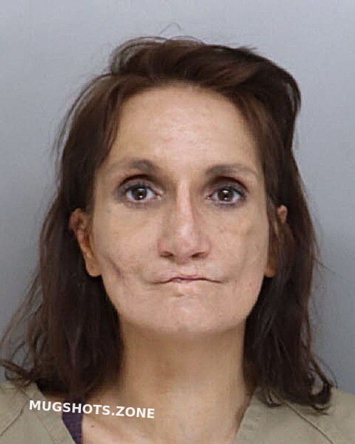 WATSON AMY 07/05/2025 - Hamilton County Mugshots Zone