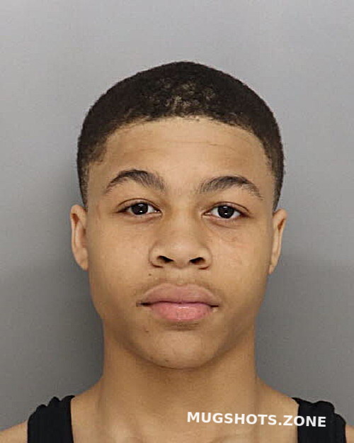 ROBERSON KHYREECE 07/07/2025 - Hamilton County Mugshots Zone