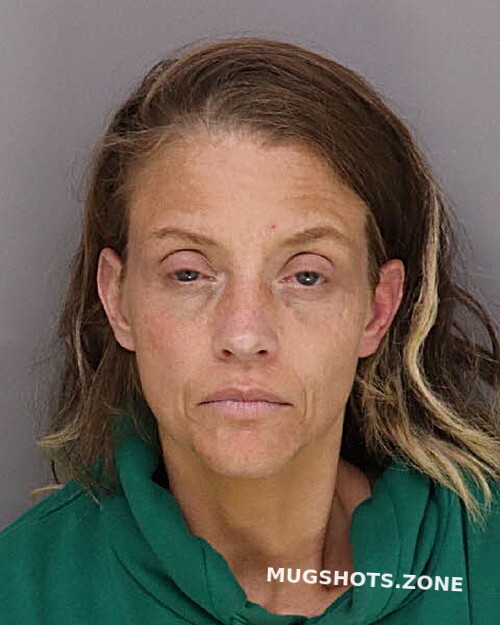 ADKINS TINA 07/16/2025 - Hamilton County Mugshots Zone