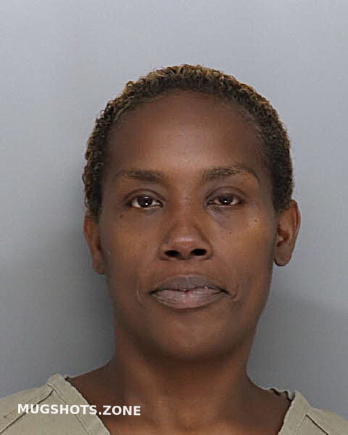 HILL SAMARAH 07/21/2025 - Hamilton County Mugshots Zone