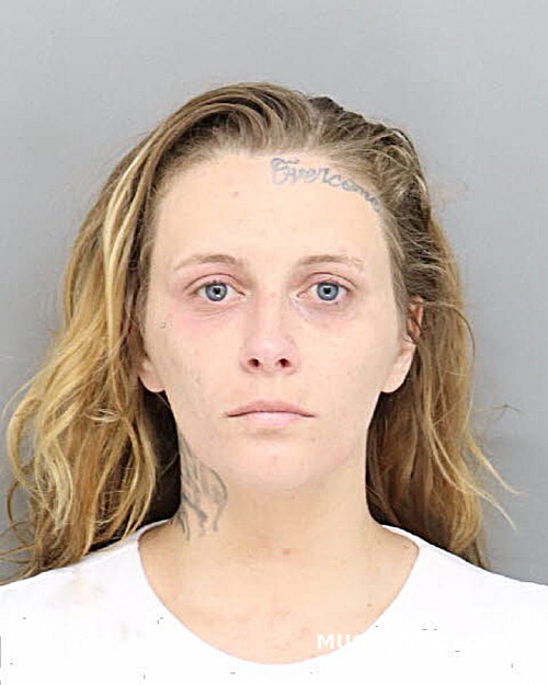 MILLER HANNAH 07/25/2025 - Hamilton County Mugshots Zone