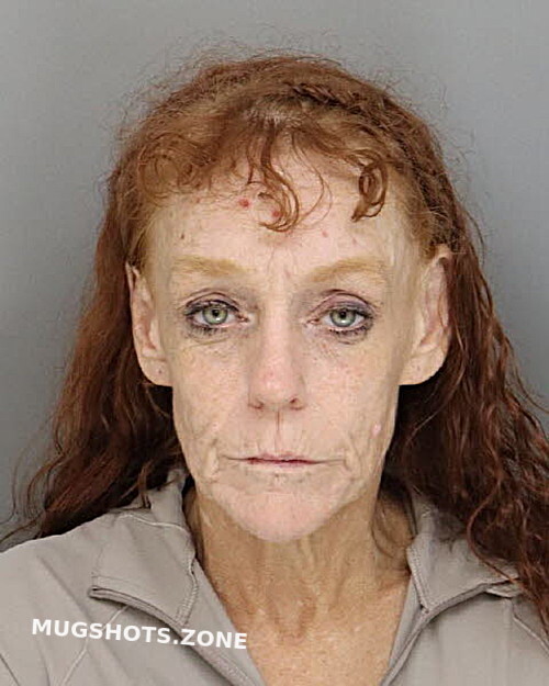 CRISCILLIS TONYA 07/28/2025 - Hamilton County Mugshots Zone