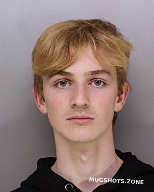 RANILOVICH CAMERON 09/02/2025 - Hamilton County Mugshots Zone