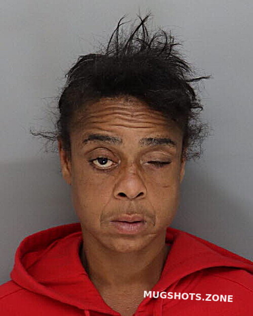 JOHNSON TANGIE 09/21/2025 - Hamilton County Mugshots Zone