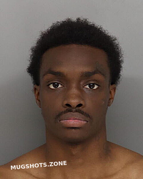 PALMER TALIB 10/14/2025 - Hamilton County Mugshots Zone