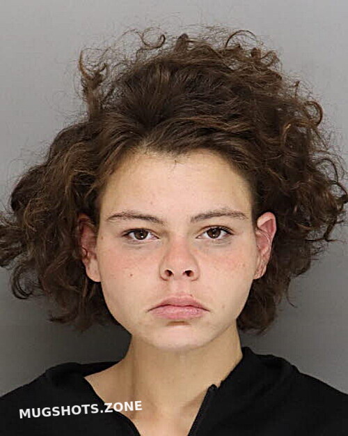 WHITEFIELD ILANA 10/17/2025 - Hamilton County Mugshots Zone