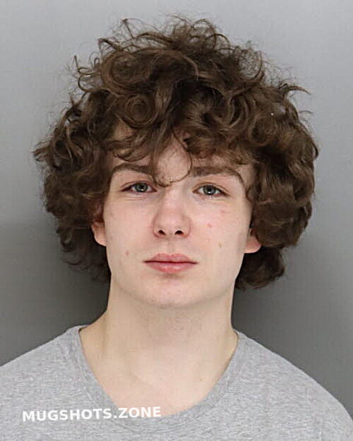 MINK REECE 10/24/2025 - Hamilton County Mugshots Zone