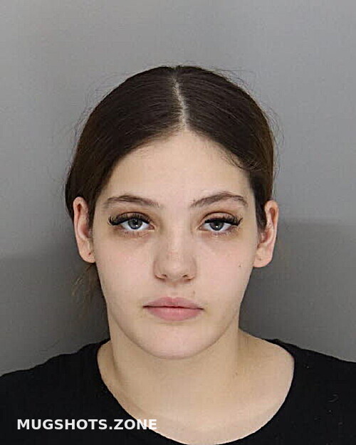ROY HAILEY 11/12/2025 - Hamilton County Mugshots Zone