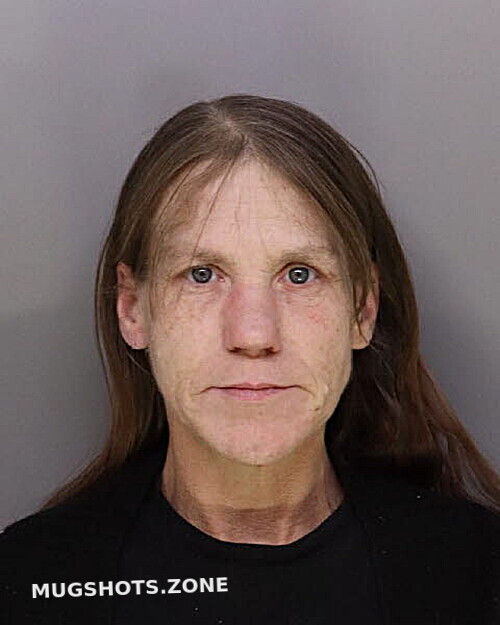 WILLIAMS MICHELE 01/31/2026 - Hamilton County Mugshots Zone