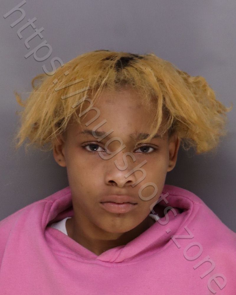 WHITNEY MIKAYLA 03/21/2026 - Hamilton County Mugshots Zone
