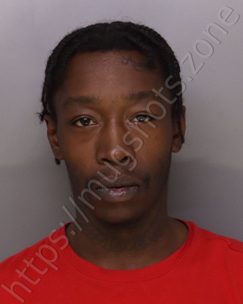 JOHNSON-ROYSTON DARRELL 04/14/2026 - Hamilton County Mugshots Zone