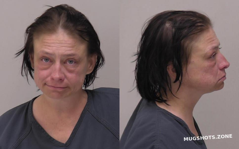 NAU MICHELLE ANNE 09/13/2024 - Hancock County Mugshots Zone