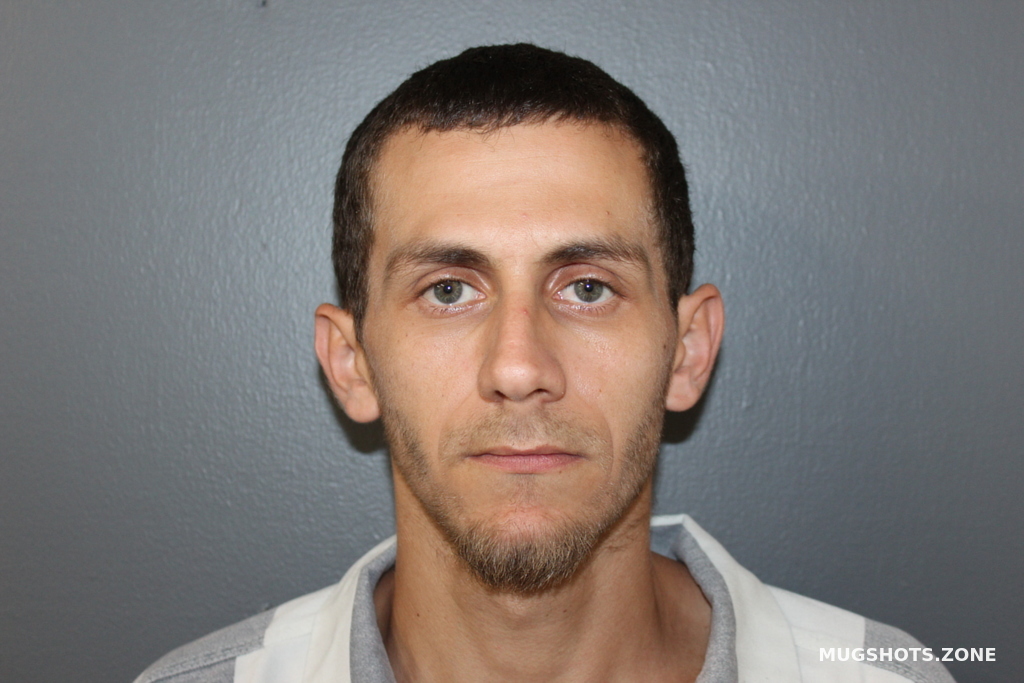 WILLETTE CODY ALEXANDER 02/18/2021 - Hardee County Mugshots Zone