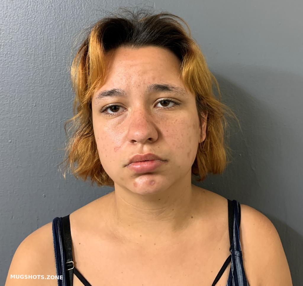 FLORES CAROLINA 12/20/2021 - Hardee County Mugshots Zone
