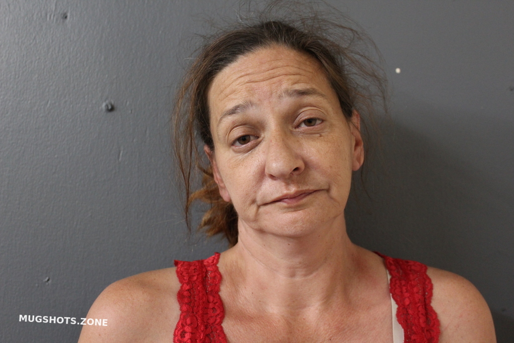 MOLINA LORI 01/22/2022 - Hardee County Mugshots Zone