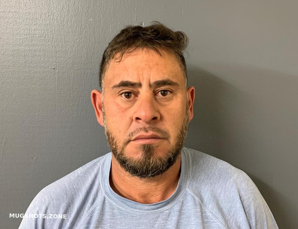MARINELARENA MERCED AARON 01/25/2022 - Hardee County Mugshots Zone