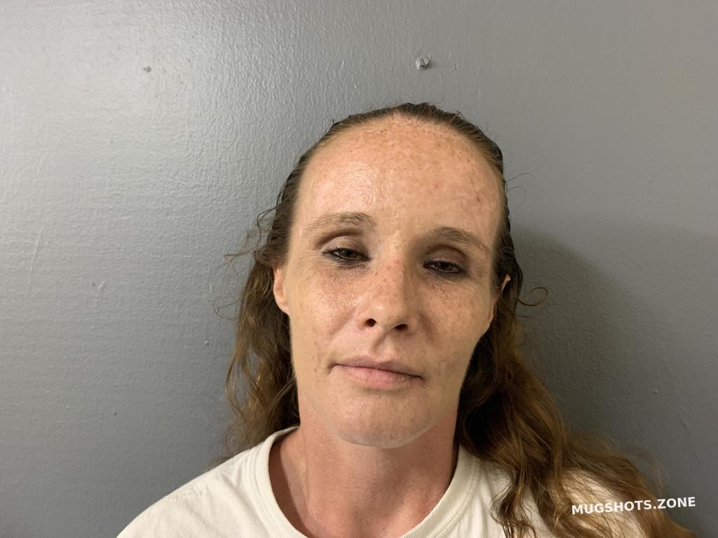 HAINES RACHEAL LEE 06/10/2022 - Hardee County Mugshots Zone