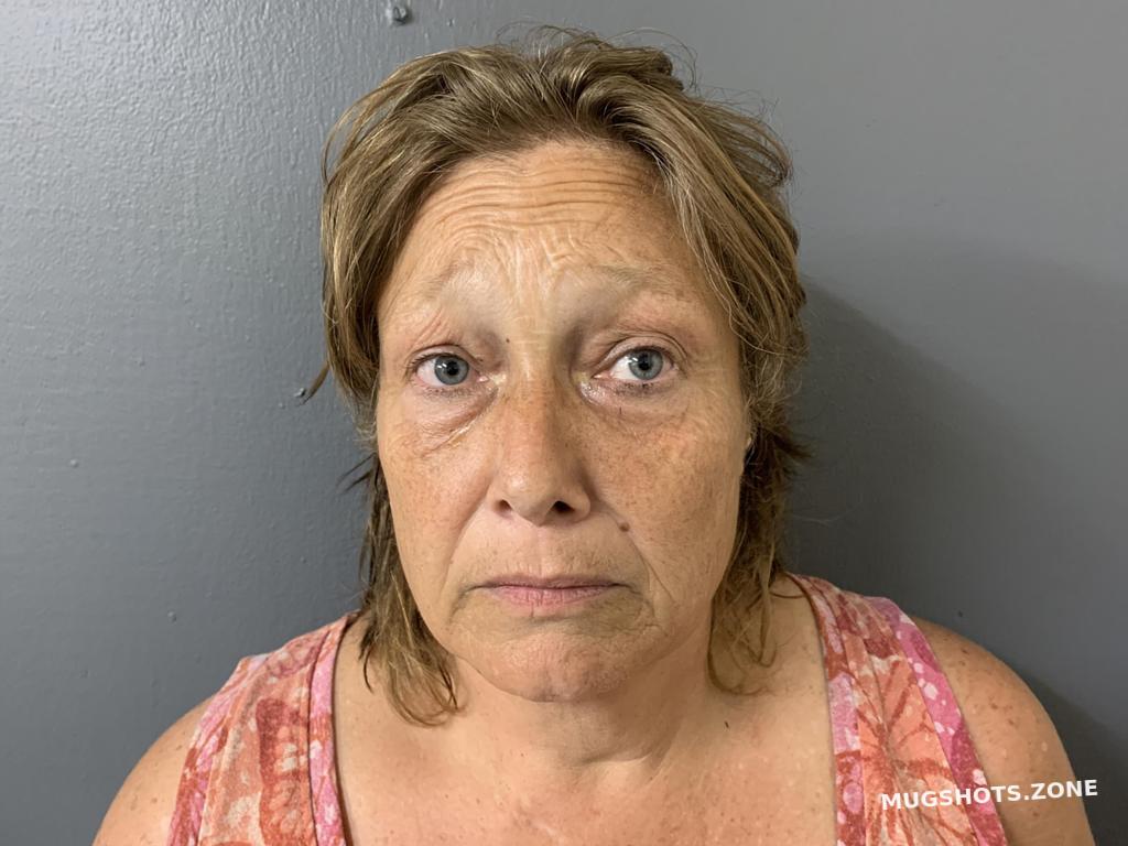 WILKINS CONNIE 09/09/2022 - Hardee County Mugshots Zone