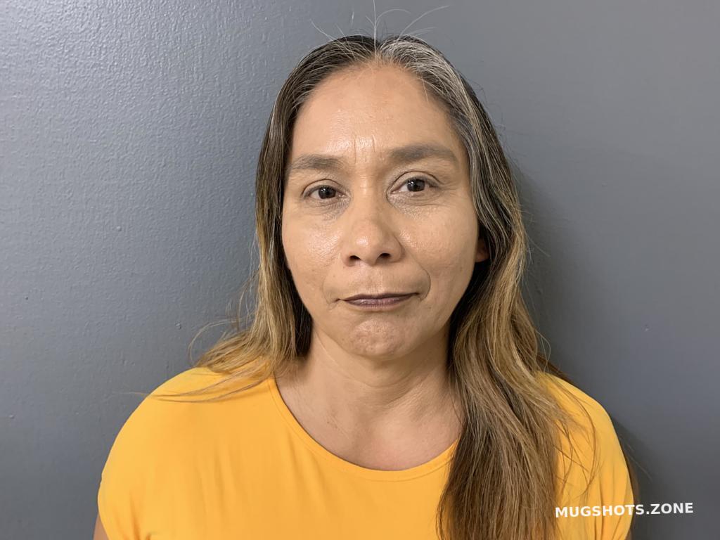 CASTILLO ANITA 01/21/2023 - Hardee County Mugshots Zone