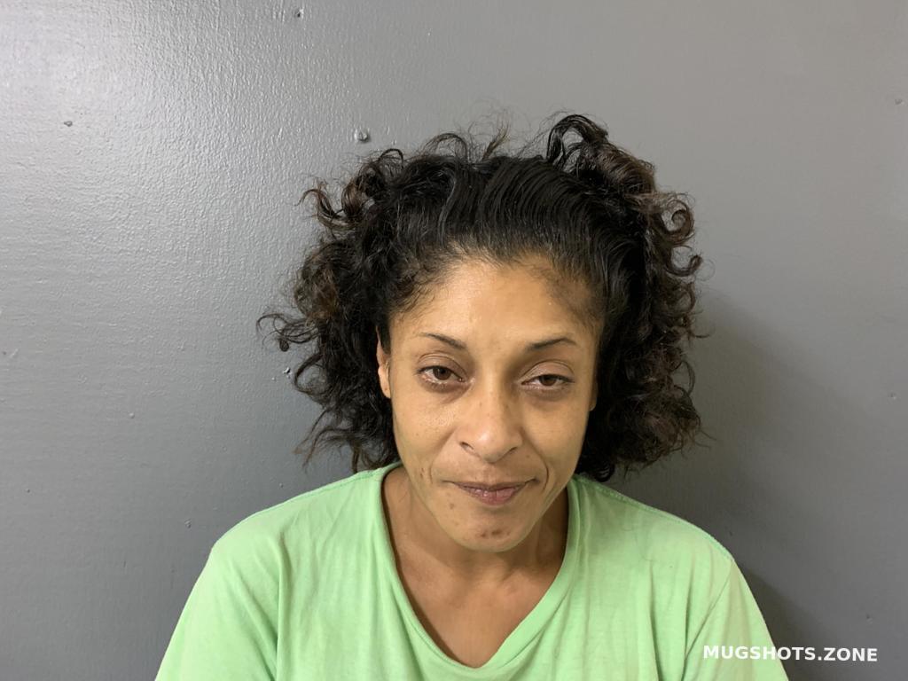 VALDEZ ANJELICA MARIA 01/23/2023 - Hardee County Mugshots Zone