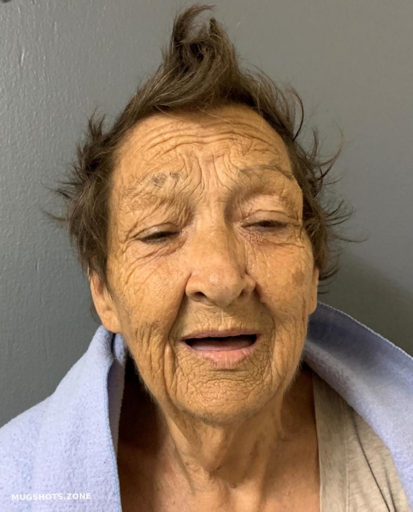 JOHNSTON LINDA JOYCE 04/25/2023 - Hardee County Mugshots Zone