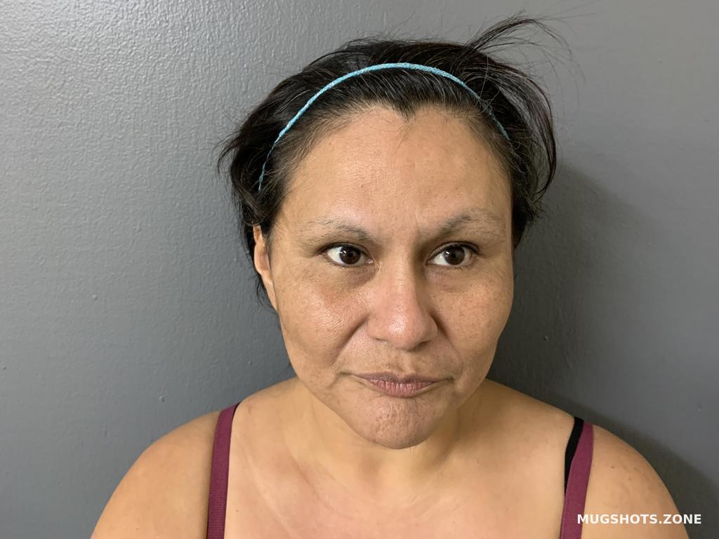 CASTILLO MONICA MARIE 07/31/2023 - Hardee County Mugshots Zone