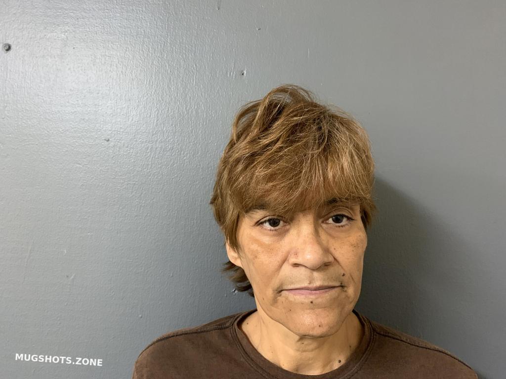 BUTLER NANCY 08/14/2023 - Hardee County Mugshots Zone