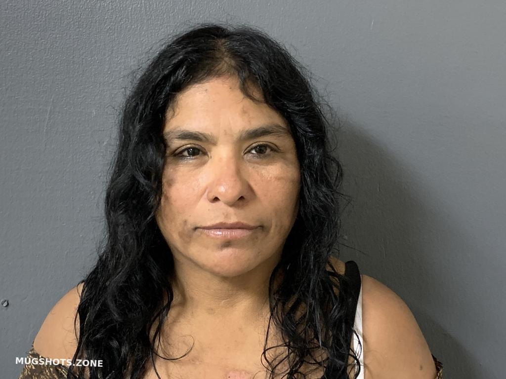GARCIA BRENDA 10/10/2023 - Hardee County Mugshots Zone