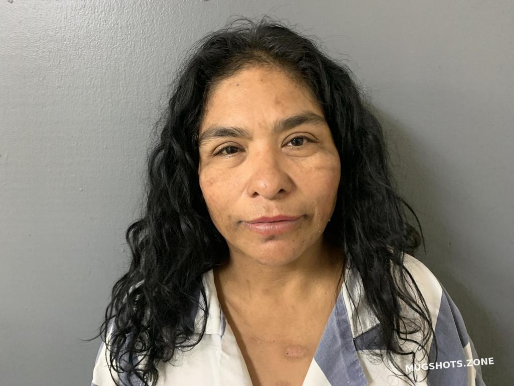 GARCIA BRENDA 10/20/2023 - Hardee County Mugshots Zone