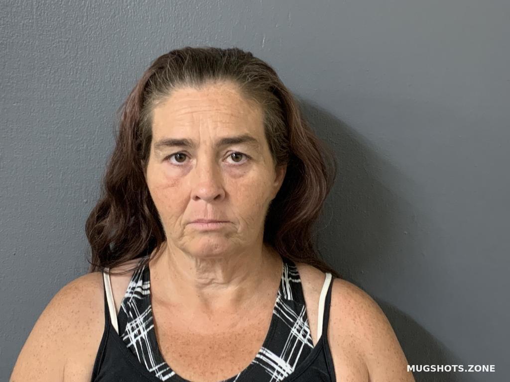 DAWSON TONYA M 11/06/2023 - Hardee County Mugshots Zone