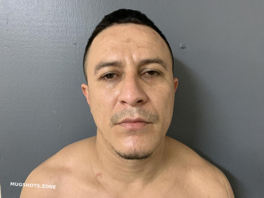 CALVILLO ISMAEL 01/01/2024 - Hardee County Mugshots Zone