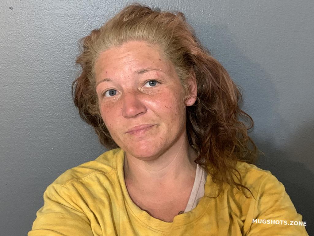 WELDON CAROL ANN 02/28/2024 - Hardee County Mugshots Zone