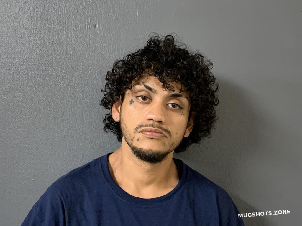 CALVILLO DANIEL 06/29/2024 - Hardee County Mugshots Zone