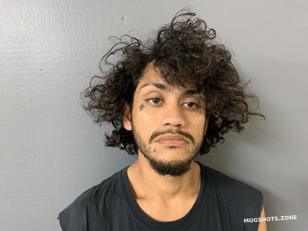 CALVILLO DANIEL 07/10/2024 - Hardee County Mugshots Zone