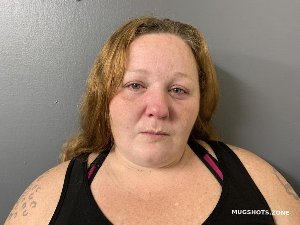 LOWE KRISTA ANN 07/17/2024 - Hardee County Mugshots Zone